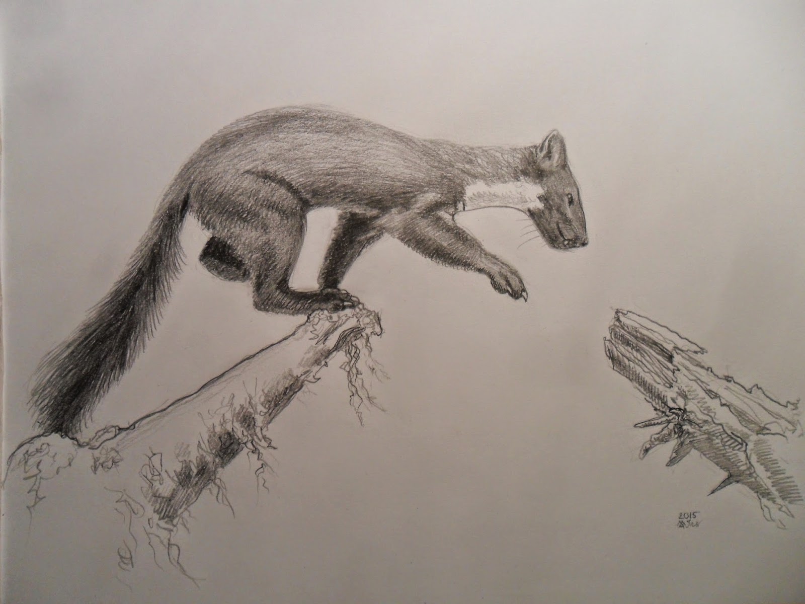 Oh. Jah. Muidugi.: Nugis