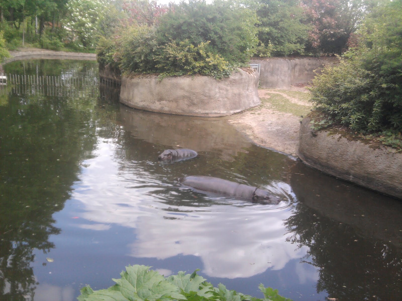 Aline: GAIAPARK ,KERKRADE, LIMBURG
