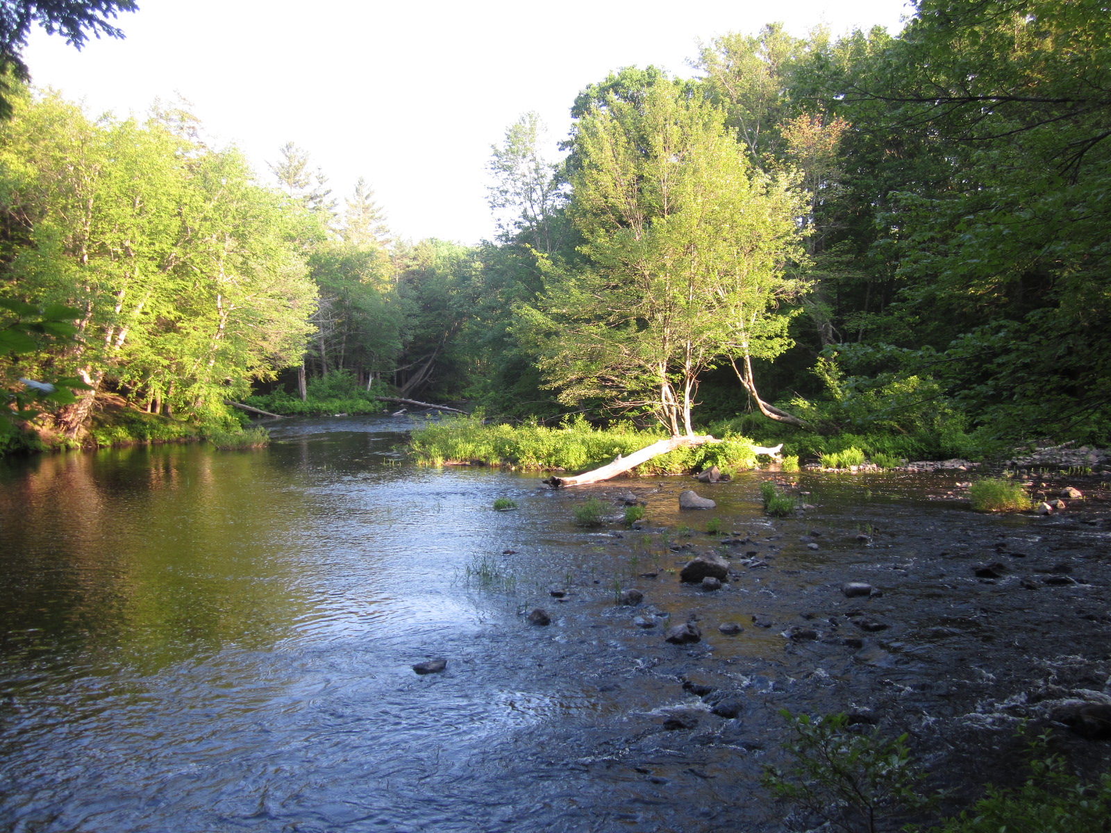 a life more awesome: Isinglass River, Rochester, NH