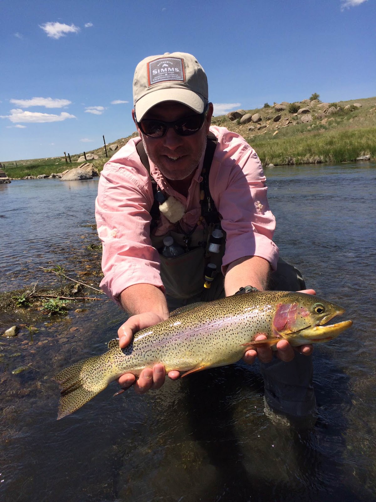 Addictive Angling Colorado: South Platte River Fly Fishing Report
