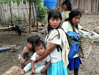 Culturas y tradiciones del Ecuador: CULTURAS Y TRADICIONES DE LOS AWA