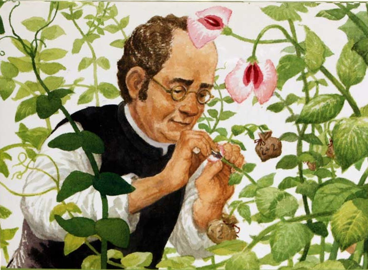 Sejarah Perkembangan Genetika - Biologizone