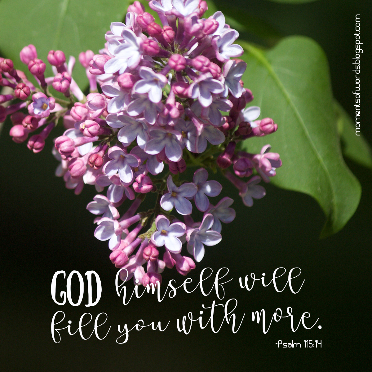 Memorizing God s Word Psalm 115 14 Moments Of Words memorizing-god-s-word-psalm-115-14-moments-of-words