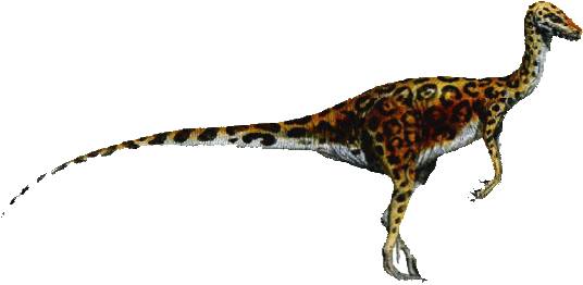 Dinosaur info: Struthiomimus