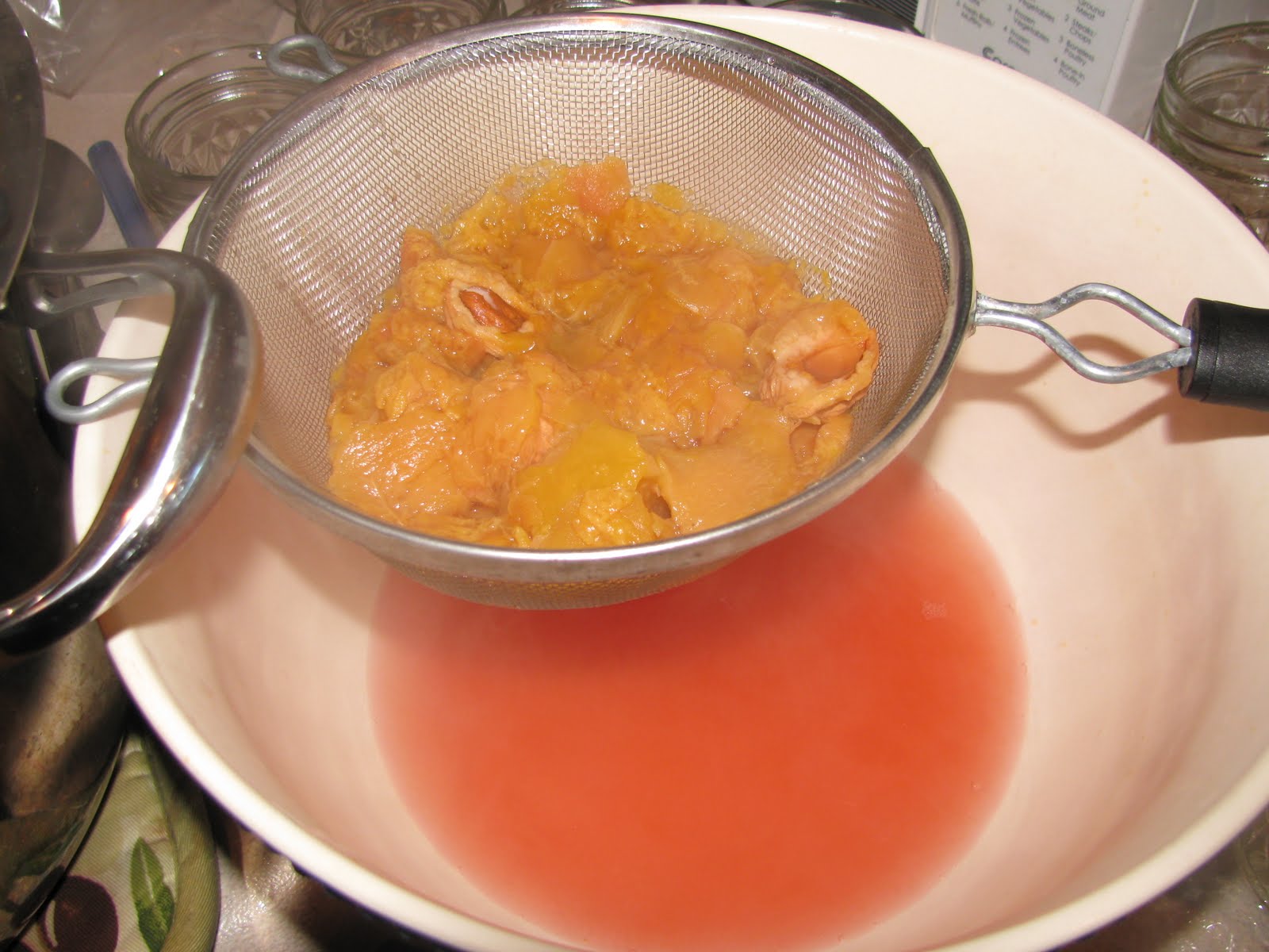 Fruit Syrup from "Garbage" - Proverbs 31 Homestead