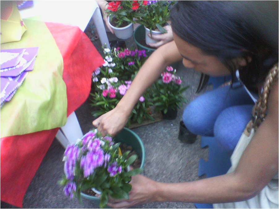 Programa Escola da Família : Portfólio 2013 - Odair Pacheco Pedroso