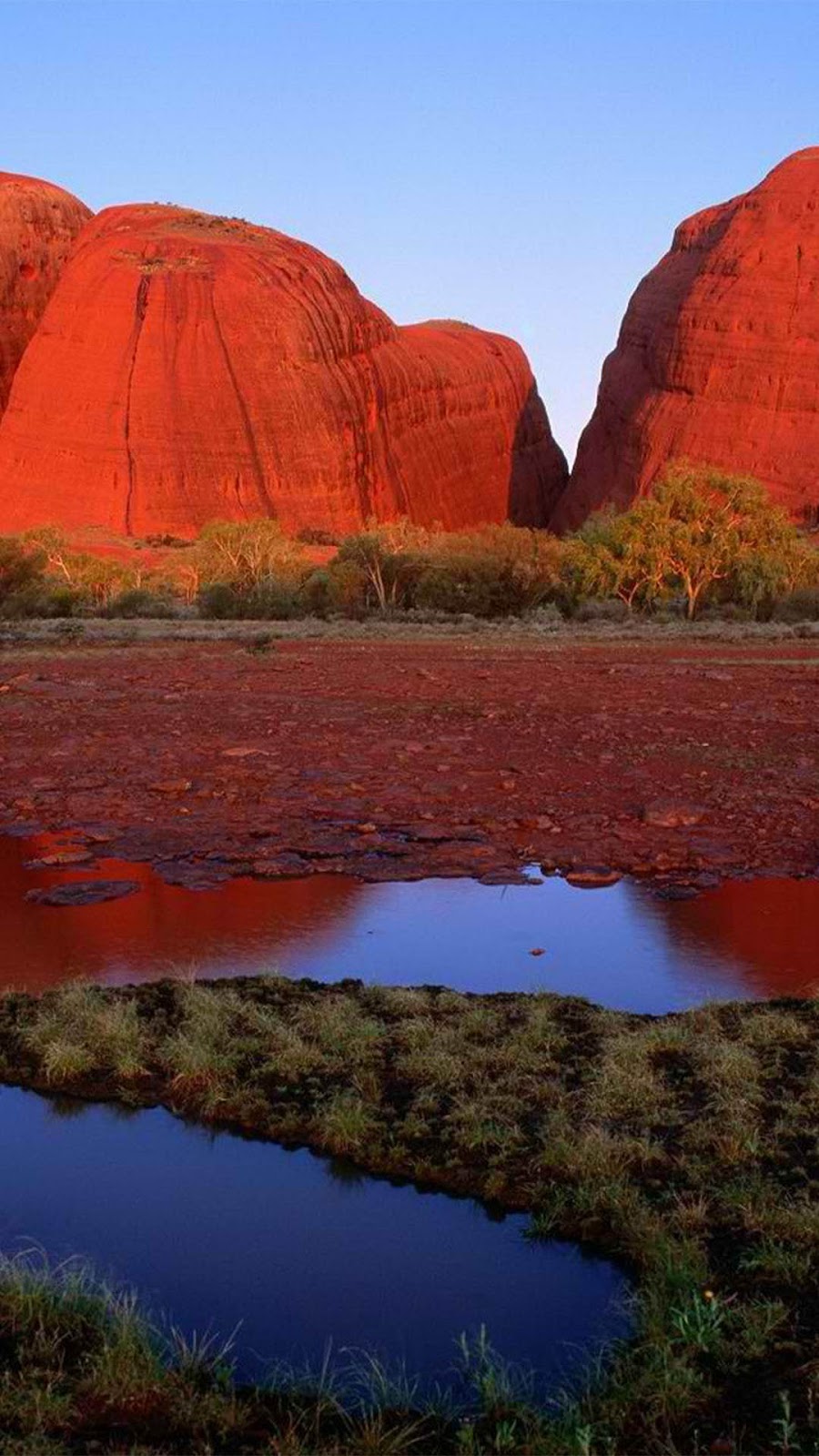 Fondo android pack 136