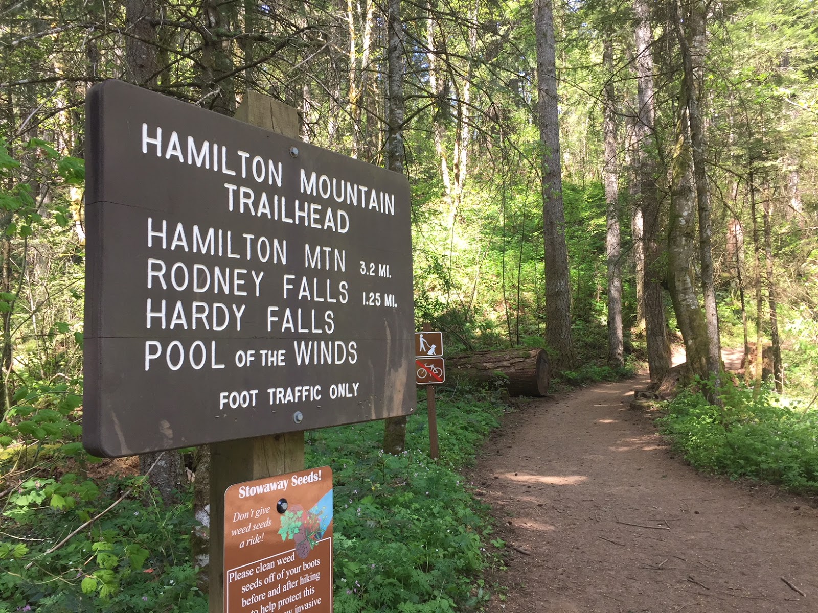 Three Hiking Sisters: Rodney Falls and the Pool of the Winds