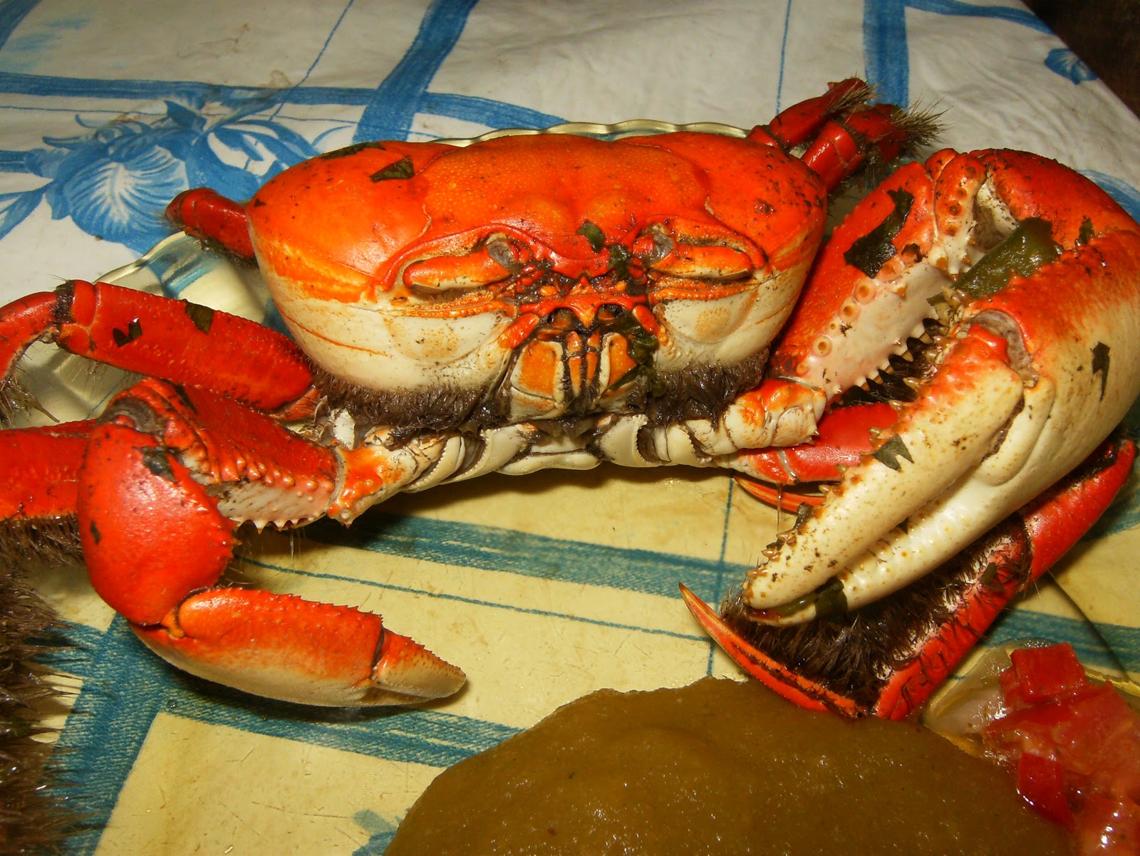 Brincar de Cozinhado: Caranguejada