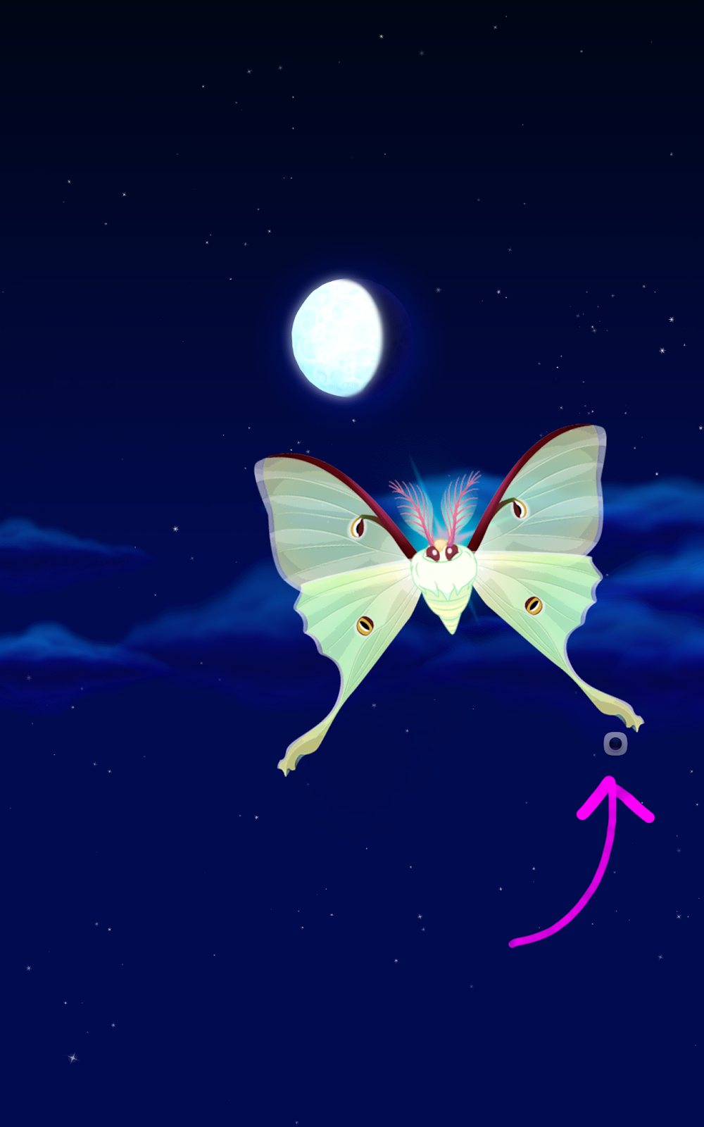 A Flutter Starlight Journey: Take Fast And Clean Screenshots In ...