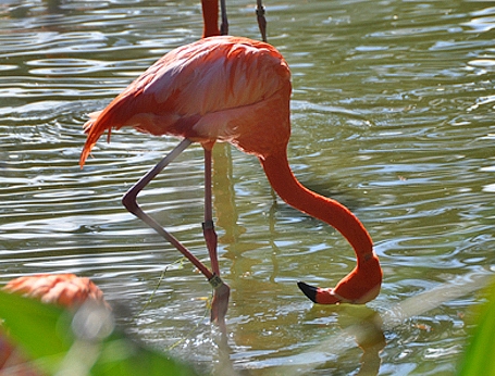 STRANGE FACTS WORLD WIDE (SHOCKING & PARANORMAL ACTIVITIES): 2011