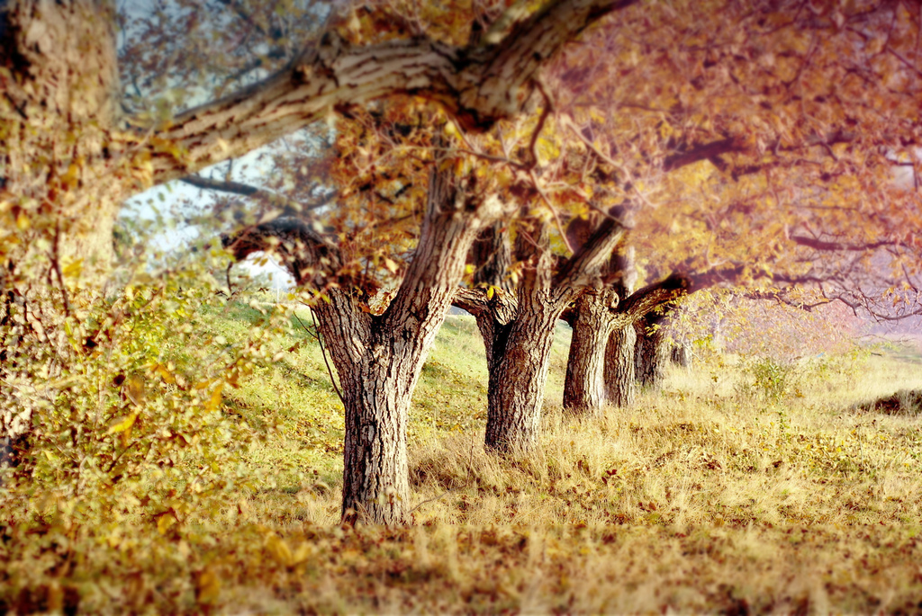 Creating with Kaiser: How is "MOVEMENT" created in ART?