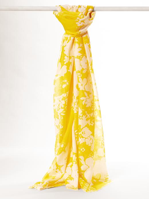 Whispered Conversations...: Bold Colors to Brighten Up Winter!