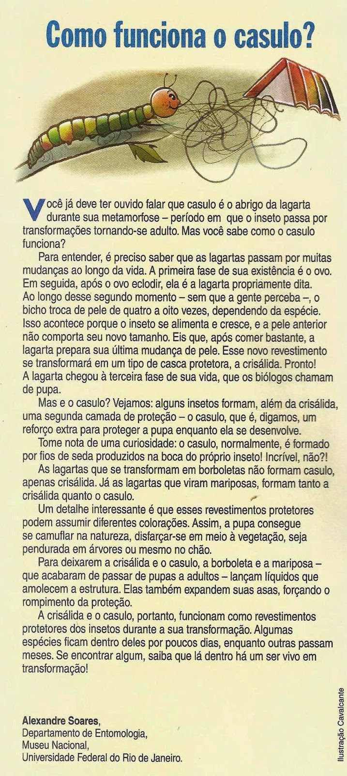 Socializando Saberes: Como funciona o casulo?