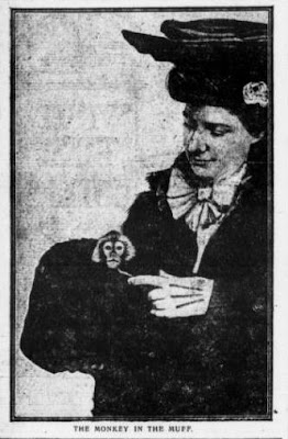 What are some weird fads of the 1900's that most people don't know ...