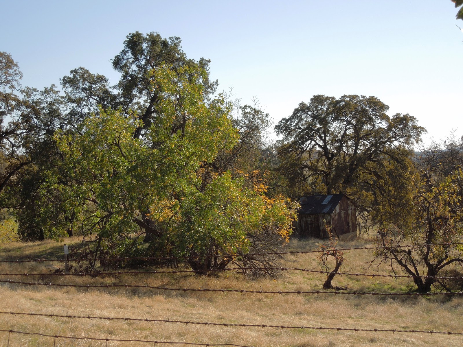 Peachy Hiker: Olmstead Knickerbocker Trails