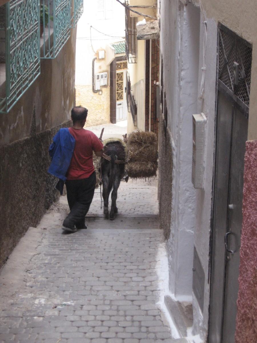 Maxted Travels with Modestine 5: Moulay Idriss and Meknes