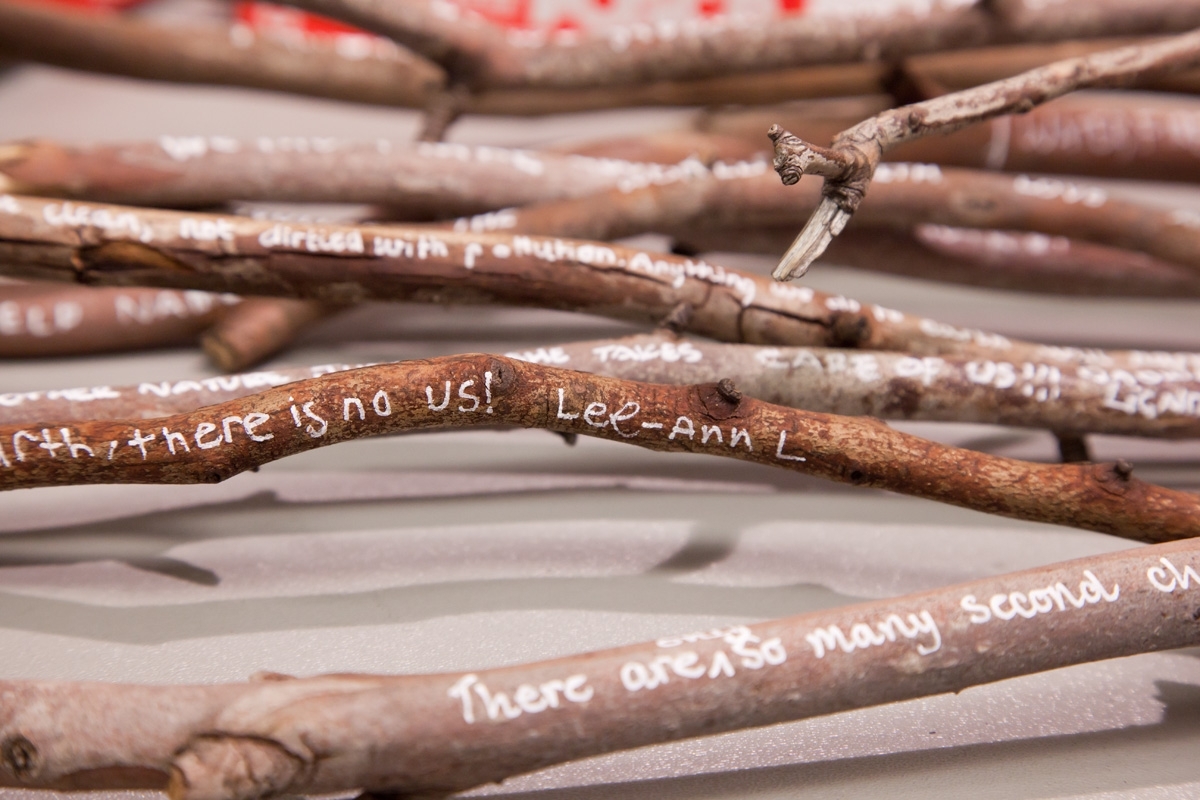 two in a teacup: Bunjil Nest