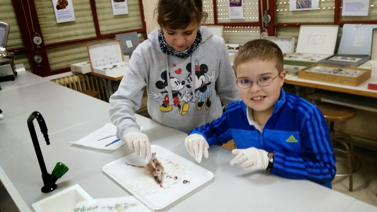 SCIENCE IN THE SCHOOL: February 2015