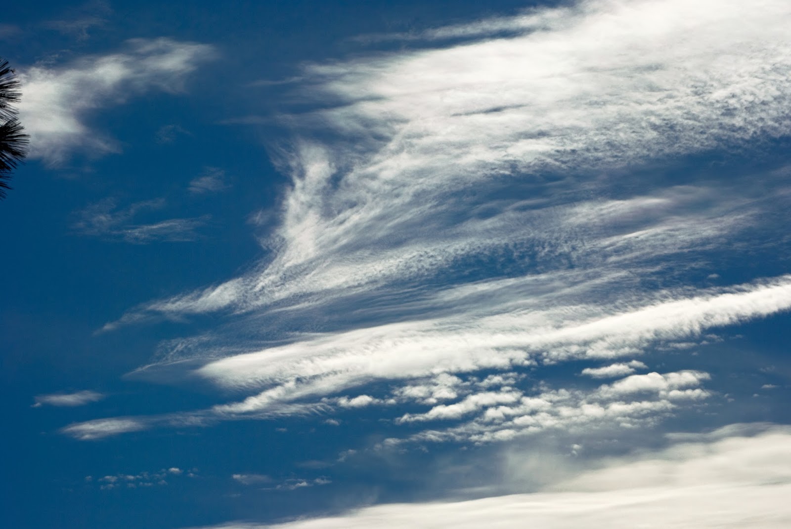 Clouds 101: Cirrocumulus - Simply Selma