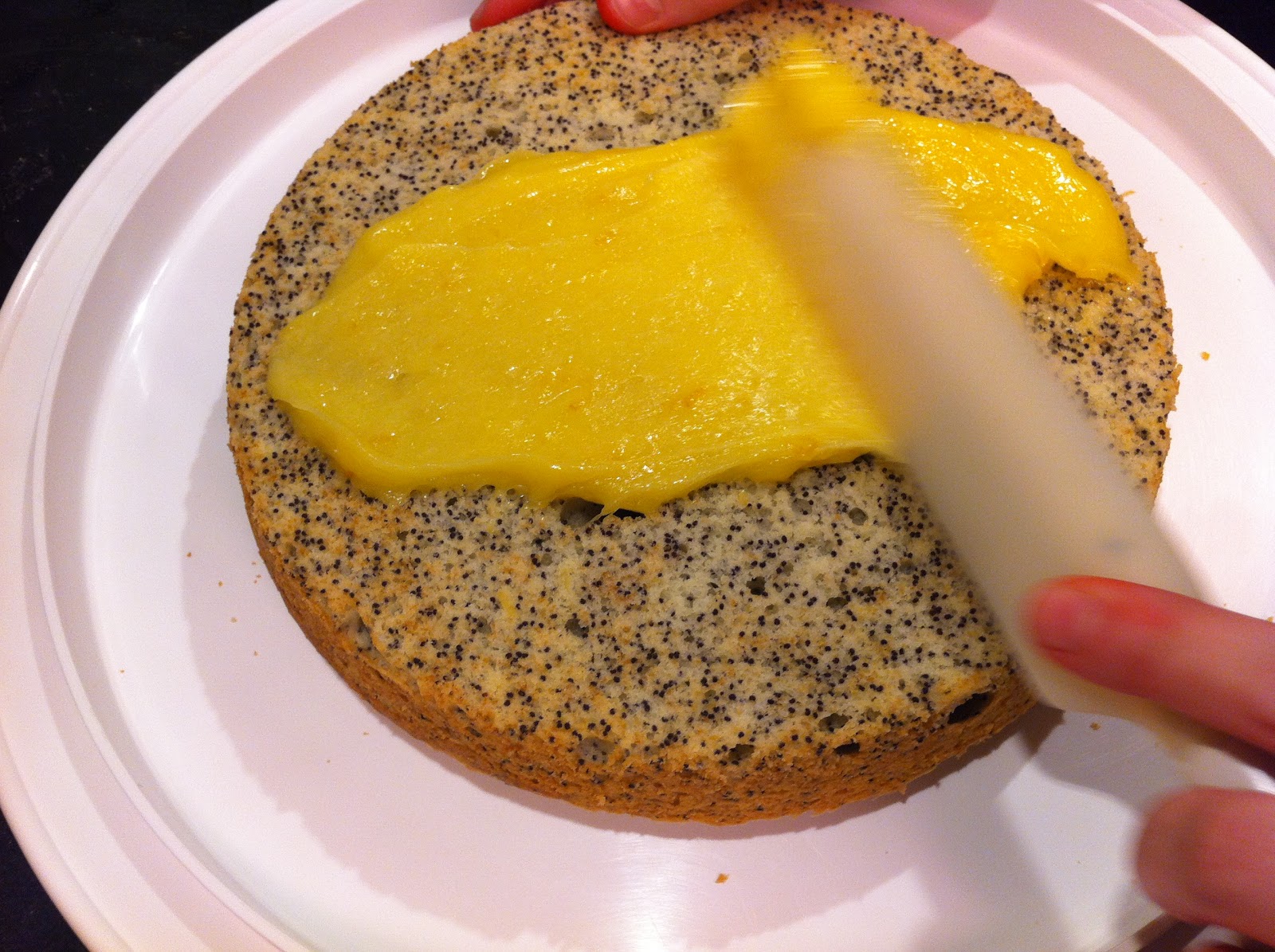 Emmy Cakes: Remembrance Day Cake