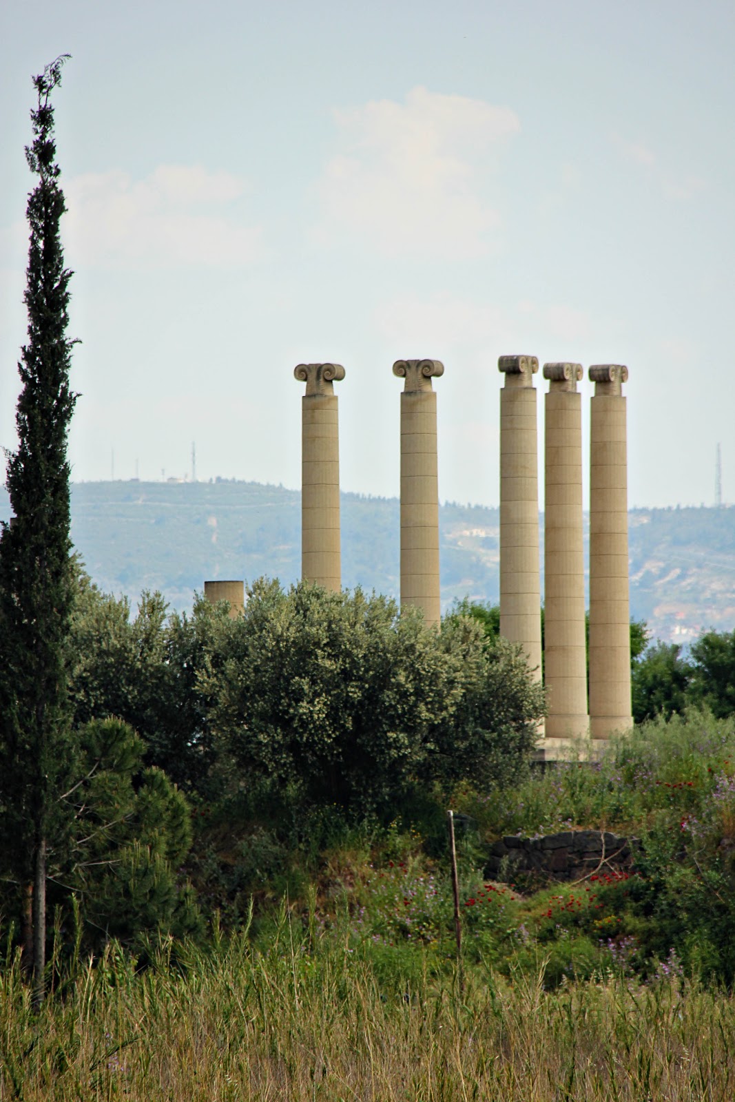 The Altered Passport: Smyrna