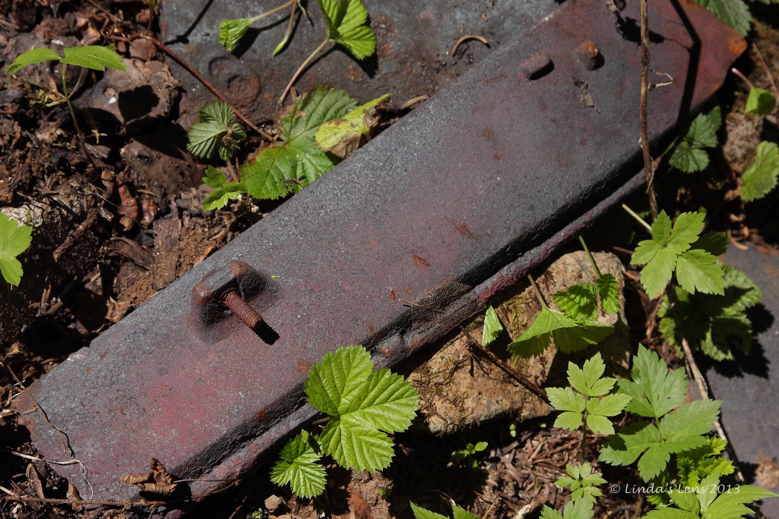 Linda's Lens: Sheepshead Rock