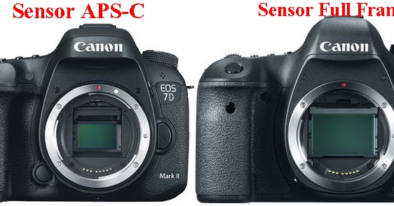 Adhyatsa Photography: Full Frame Sensor VS Crop Factor