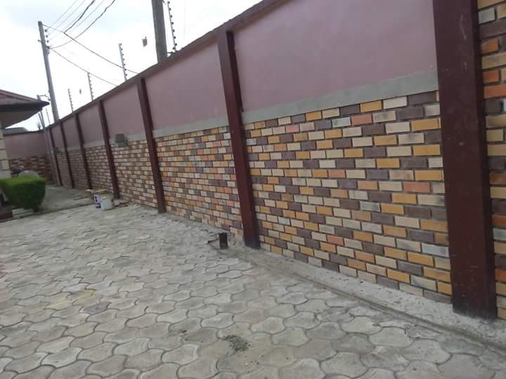 ⇨ GALLERY ..All pictures