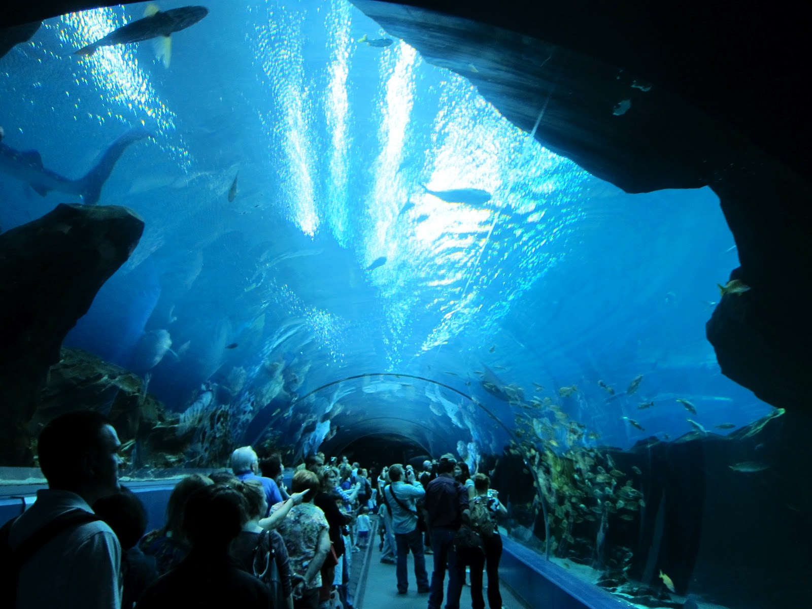 INTERESTING THINGS - Do You Know ??: WORLD's LARGEST AQUARIUM
