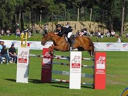 Horse Radish- Straight from a Horses Mouth: Tuesday Information- Types ...
