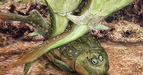 Fossil Adventure: "Microbrachius" el copulador blindado.