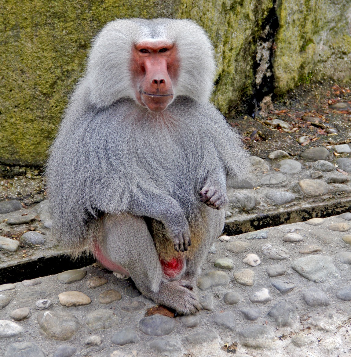 Banco de Imágenes Gratis: 30 imágenes nuevas para ver, disfrutar y ...