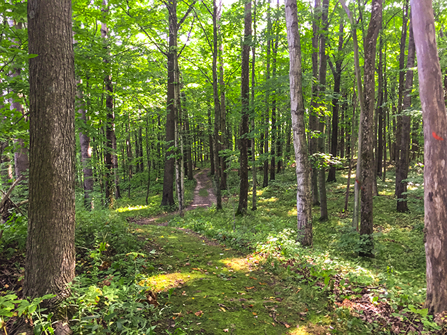 Hiking at Riveredge Nature Center in Newburg WI