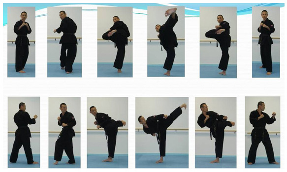 Martial Arts Revolution: The different Taekwondo Kicks