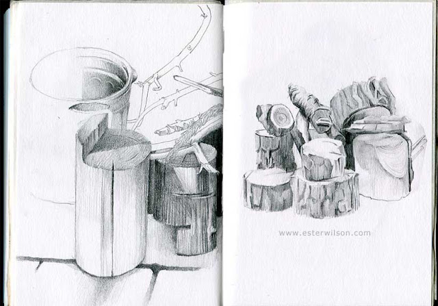 stumps and logs of wood - drawing in sketchbook