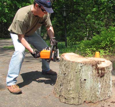 Gurney Journey: How to make a rustic stump planter
