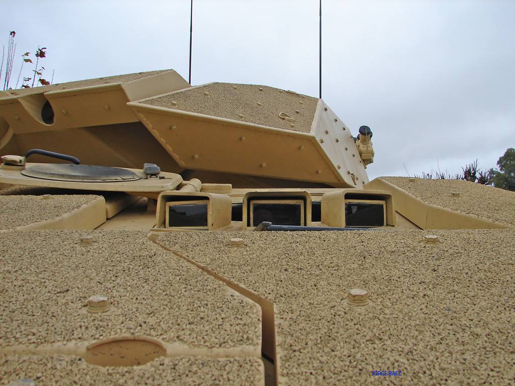 Defensa y Armas: Fotos del TAM 2IP en el día del ejército en el colegio ...