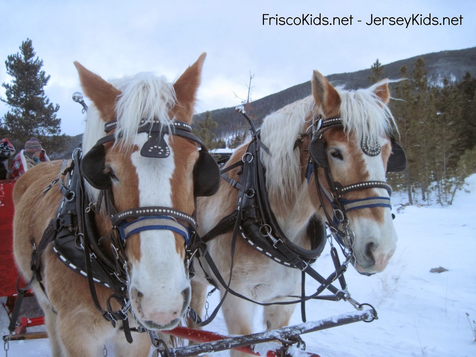 Frisco Kids: Keystone Resort Fun for NonSkiers: Ice Fort, Tubing, Spa ...