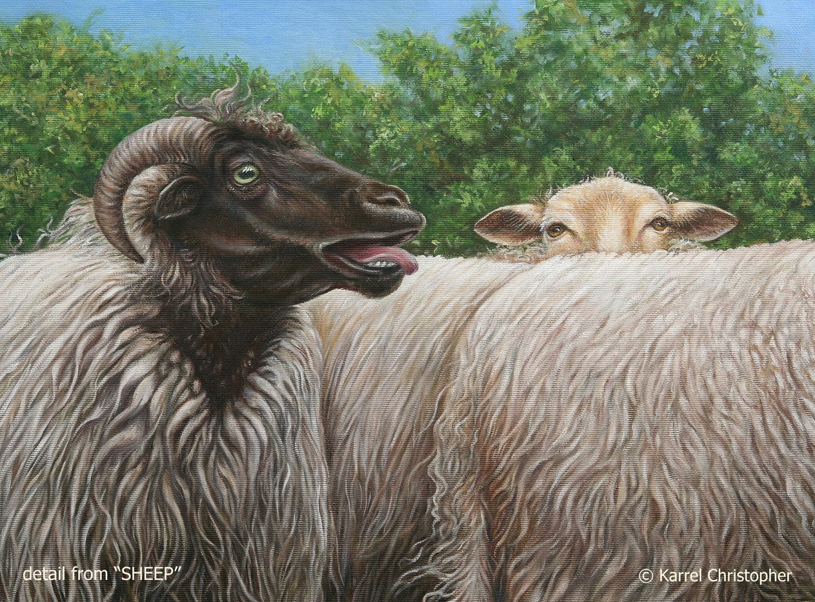 KARREL's Creative Path: SHEEP "Before the Shearing" oil painting