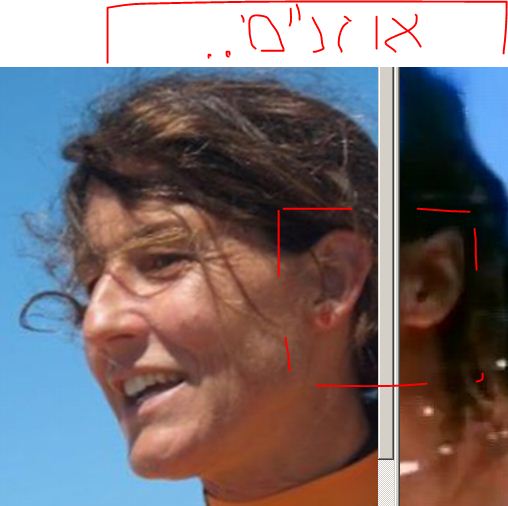 Welcome to Mossad-ALF´s funny little blog...: FEMALE SURFERS 1953 margo ...