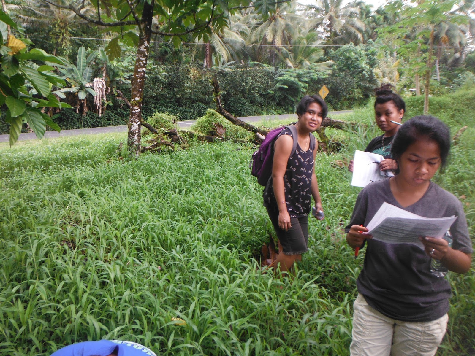 Invasive plant species of Paies Palikir Pohnpei