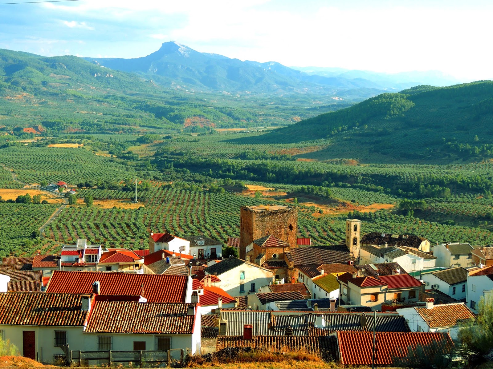 Fiestas Patronales De Torres Jaen - Servicio De Citas En Navarra