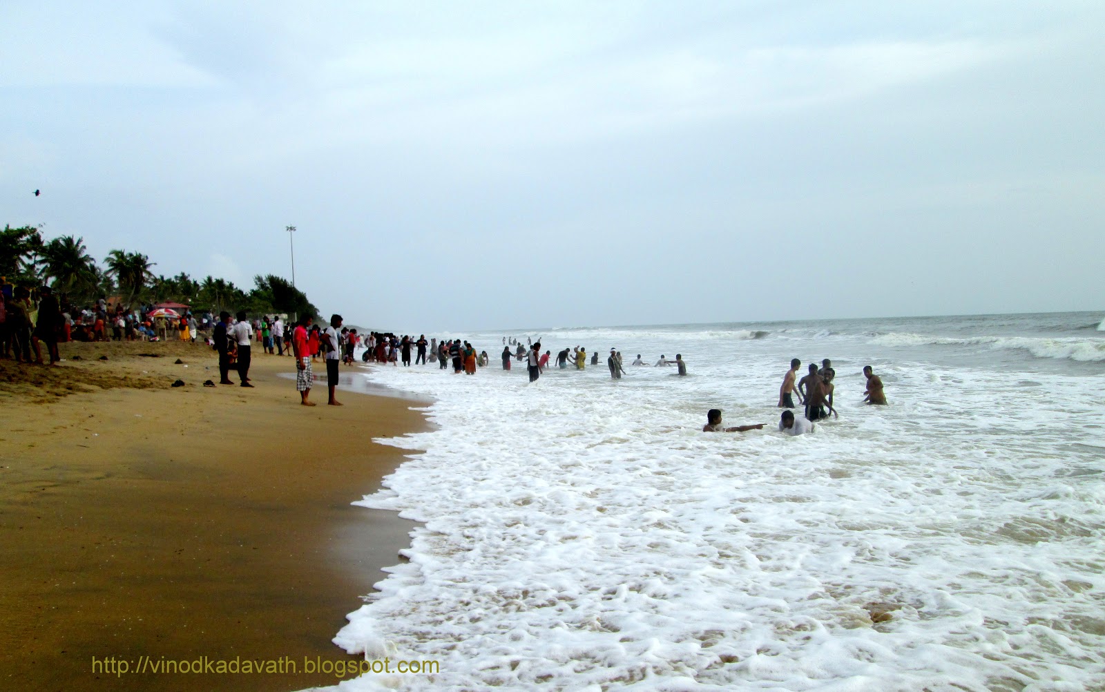 A walk down the Cherai Beach : Kerala ~ Vinod K's Travel Blog