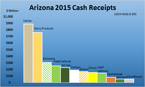 Arizona's Top Agricultural Products | Big Picture Agriculture