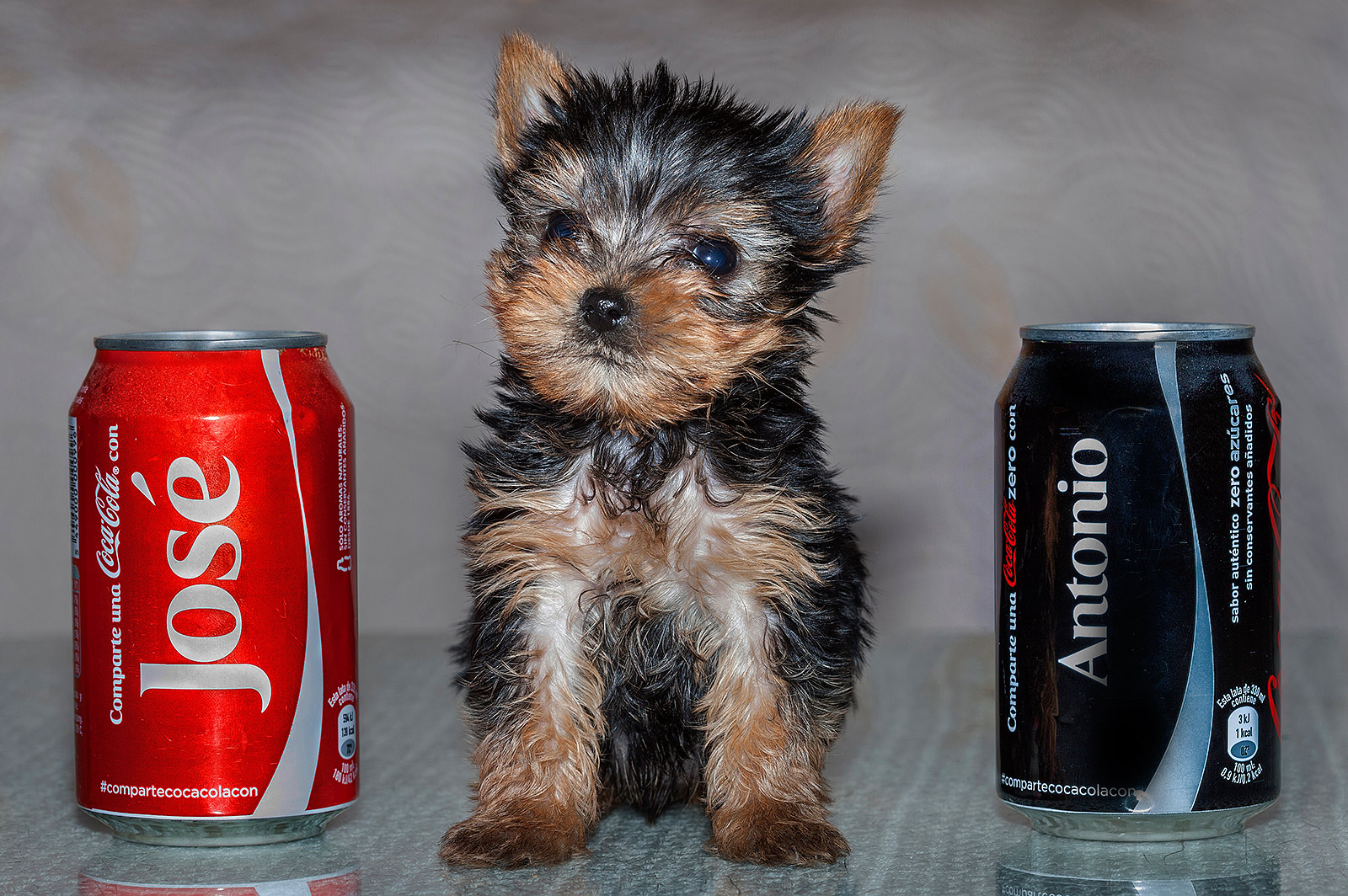 Imágenes de Jesús Alvarez Carrero: Perrito y Coca Colas