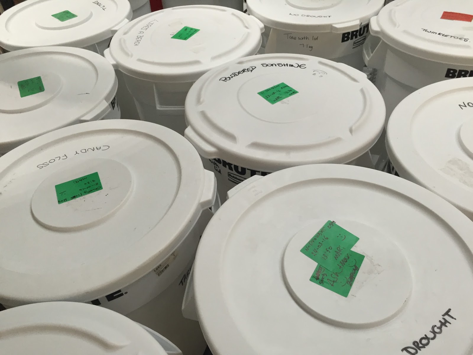 All Things Lush UK: My Lush Factory Tour - Part 4