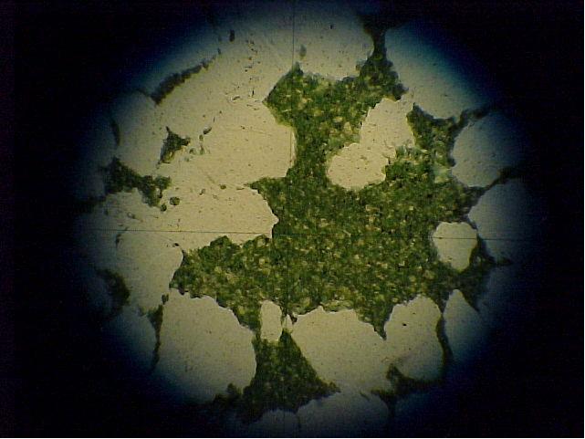 Alexander Simatupang: Thin section of Chlorite
