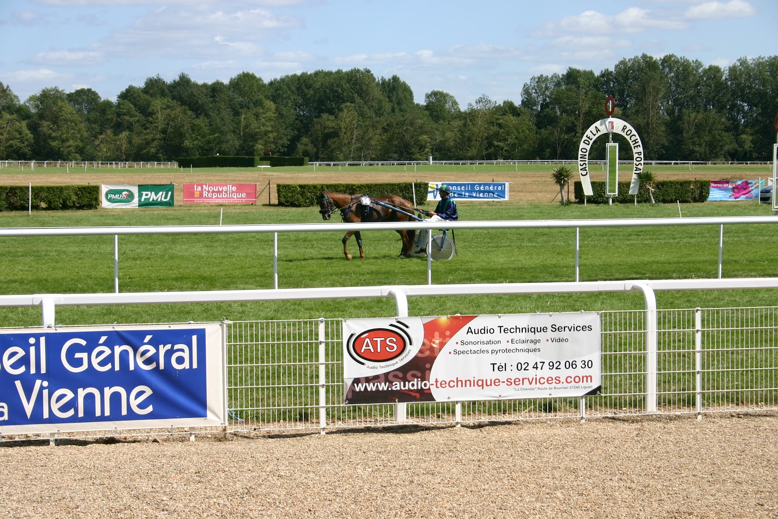 Retrained Retired Racehorses in the South East: Ellen Collinson ...