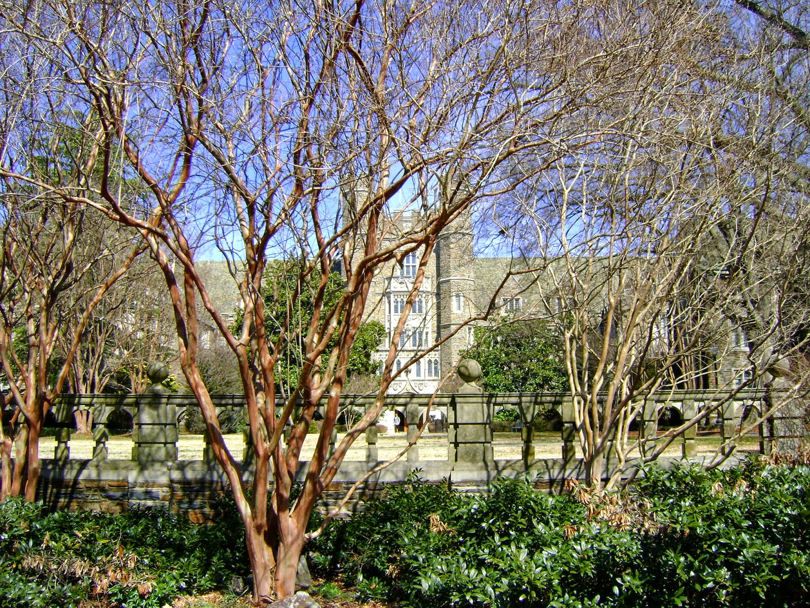 Mr. O's Tour: Duke University, Raleigh, North Carolina